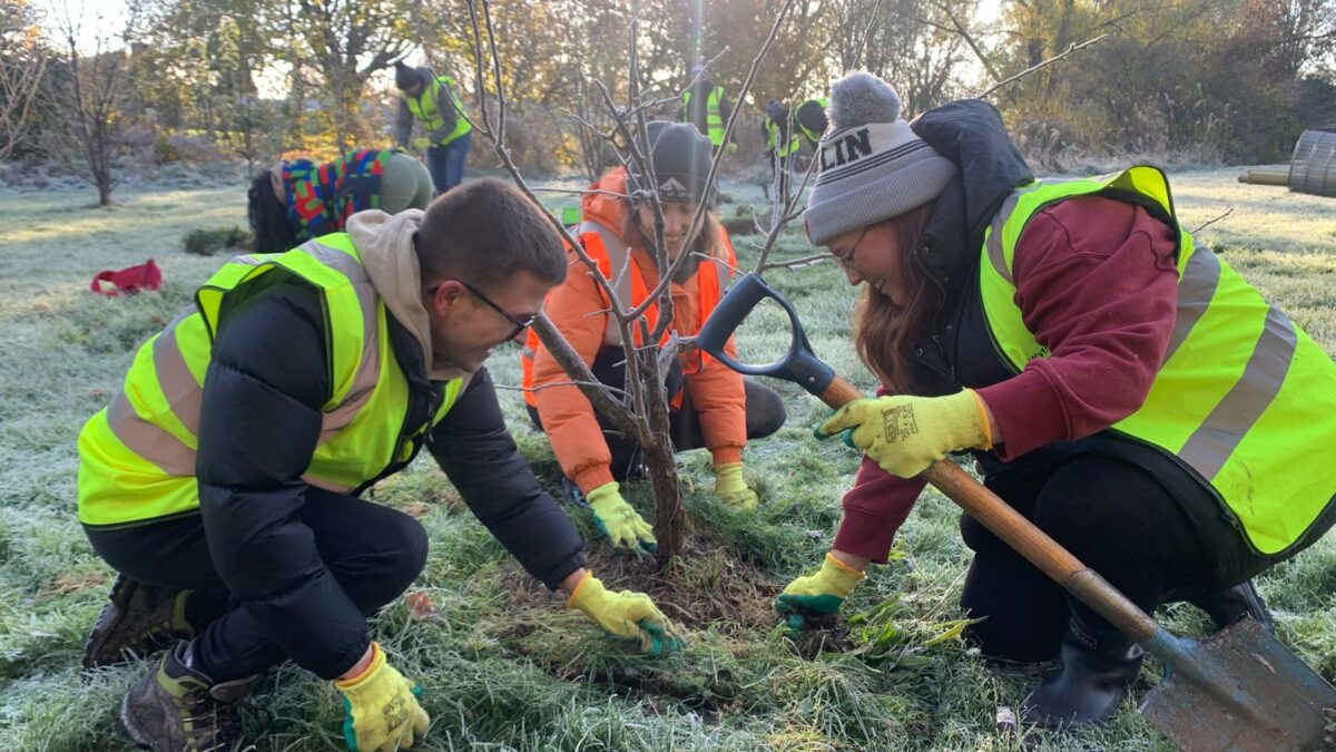 What's On: Events Archive | Sow The City